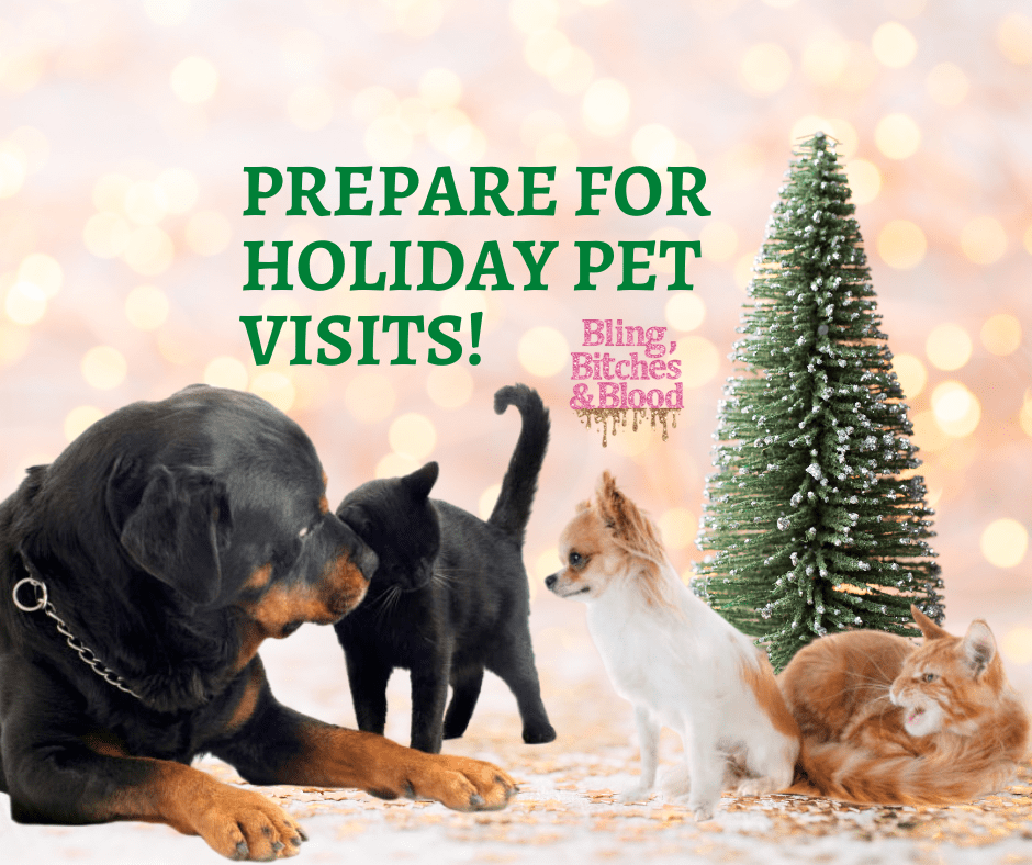 How to Prepare Cats, Dogs, and People for Holiday Visits