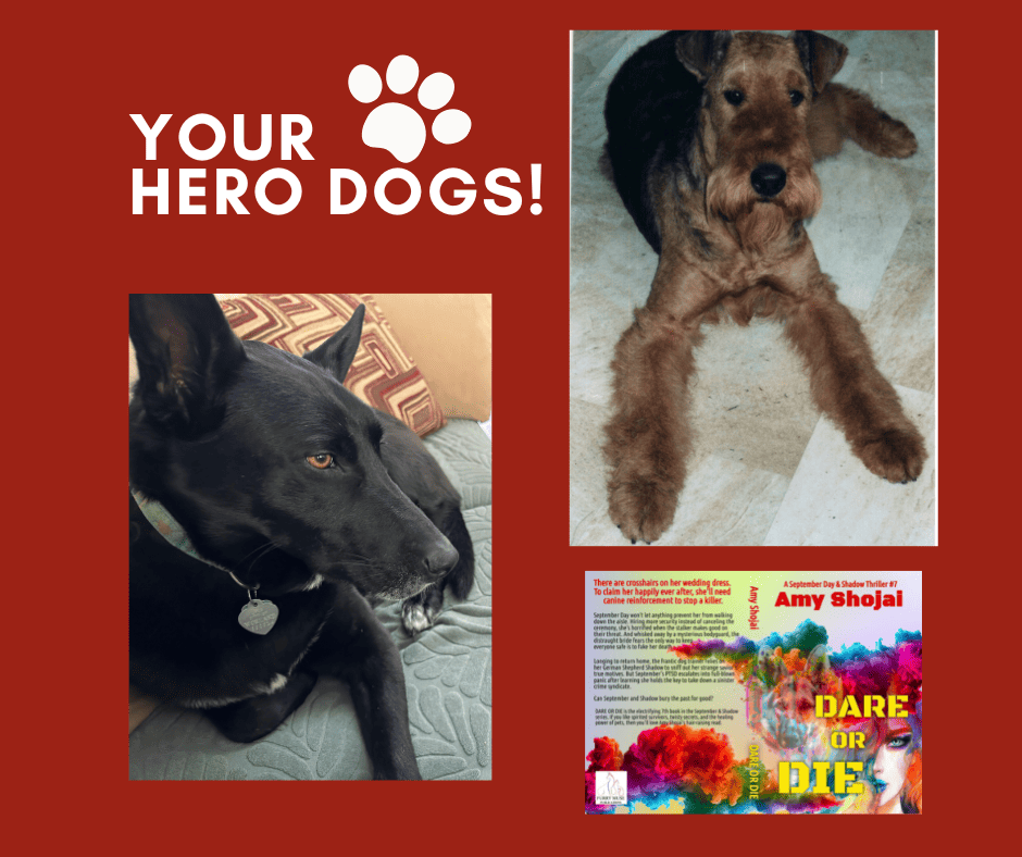Hero Dog Winners for DARE OR DIE Thriller