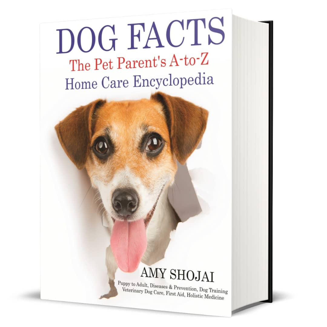 What Dogs Taste: Dog Taste Buds, What Flavors They Love & Hate