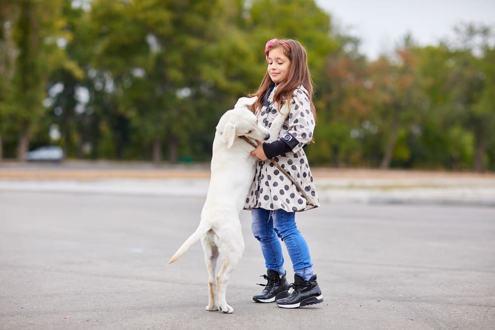 Why Dogs Jump Up on People: What to Do