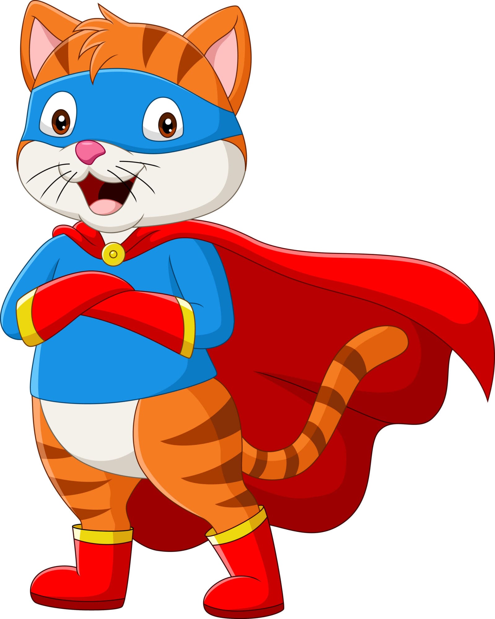 Voting Open! Name That Hero Cat!